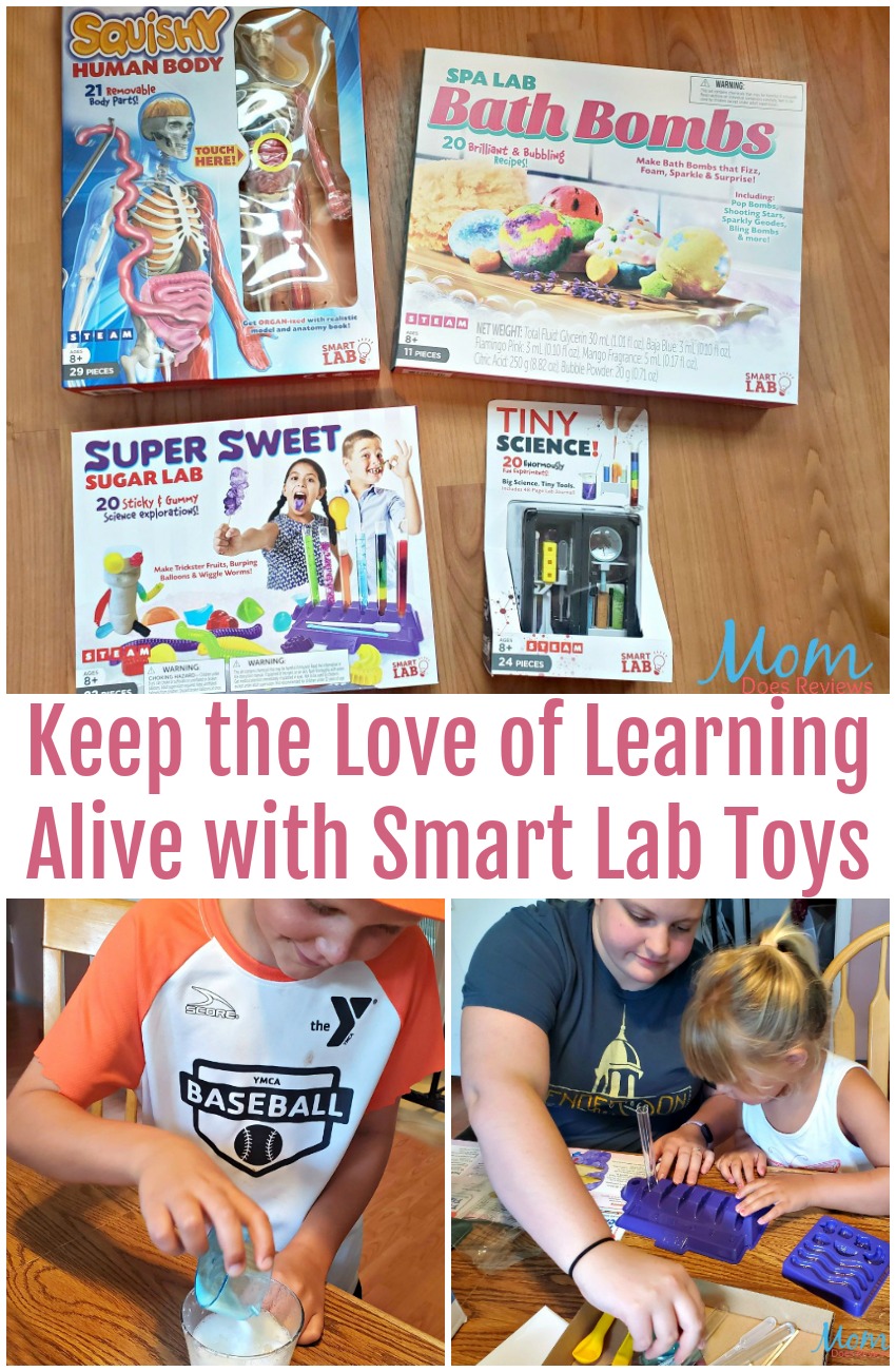 Keep the Love of Learning Alive with Smart Lab Toys® #MDRSummerFun ...